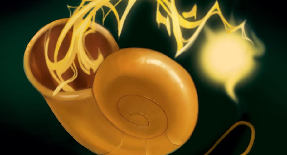 Card News Ursulas Shell Necklace Mushu Report Disney Lorcana News And Updates